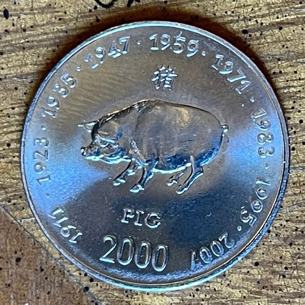 Year of the Pig Chinese Zodiac 10 Shillings Somalia Authentic | Etsy