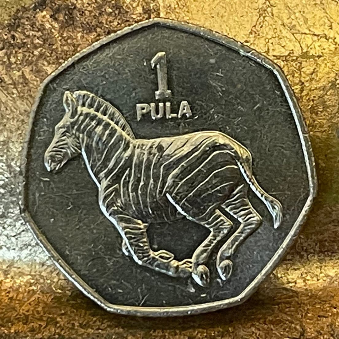 Zebra 1 Pula Botswana Authentic Coin Money for Jewelry and | Etsy