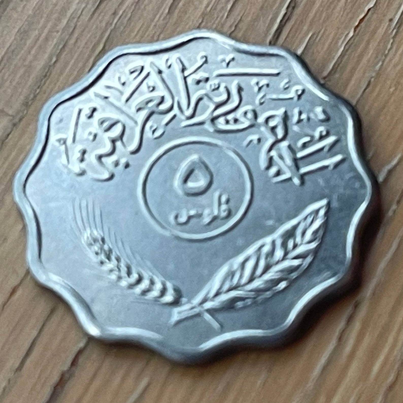 Date Palm Trees Iraq Coin: 5 Fils Scalloped Money, Jewelry Craft - Etsy