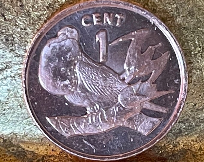 Cape Sparrows 1 Cent South Africa Authentic Coin Money for - Etsy