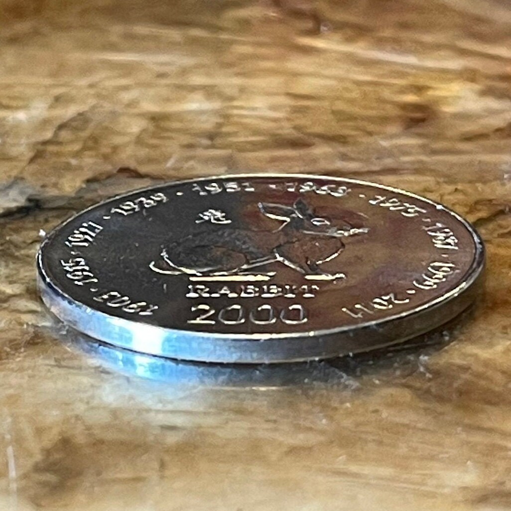 Year of the Rabbit 10 Shillings Somalia Authentic Coin Money - Etsy