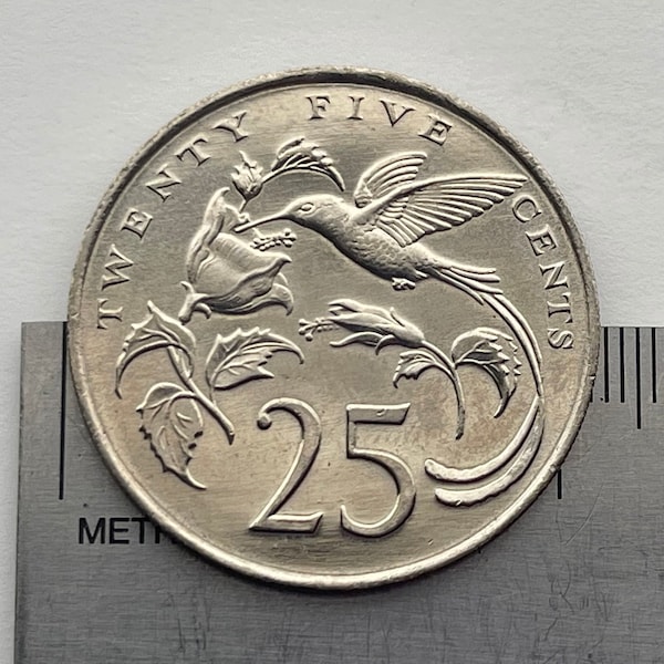 Hummingbird Coin - Etsy