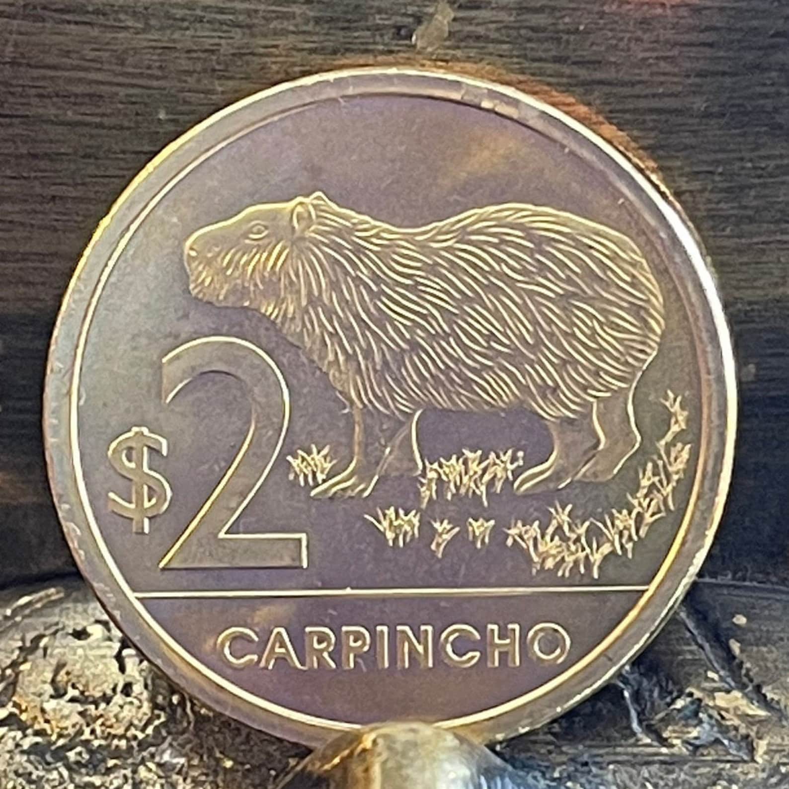 Capybara 2 Pesos Uruguay Authentic Coin Money for Jewelry and | Etsy
