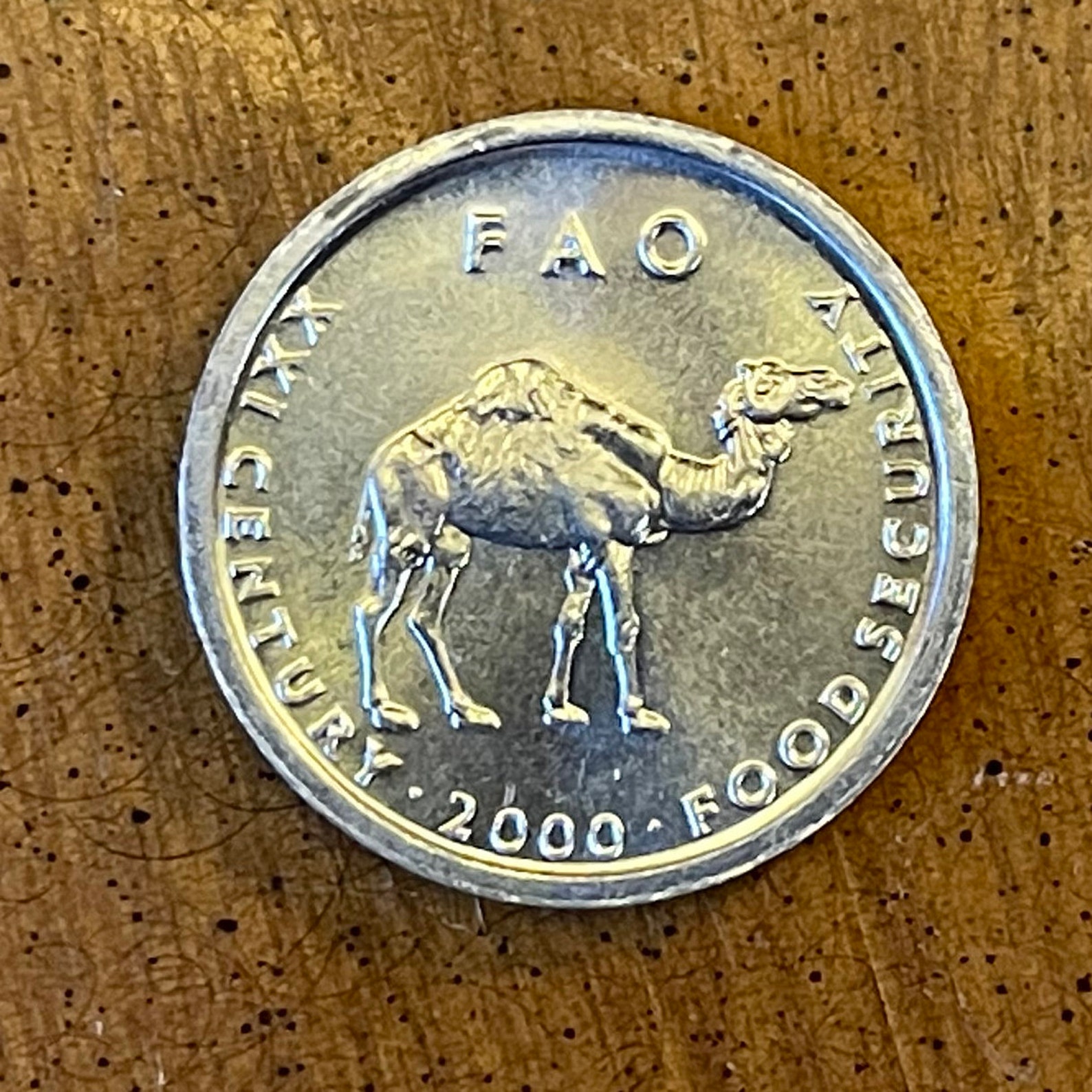 Camel Somalia 10 Shillings Authentic Coin Money for Jewelry - Etsy