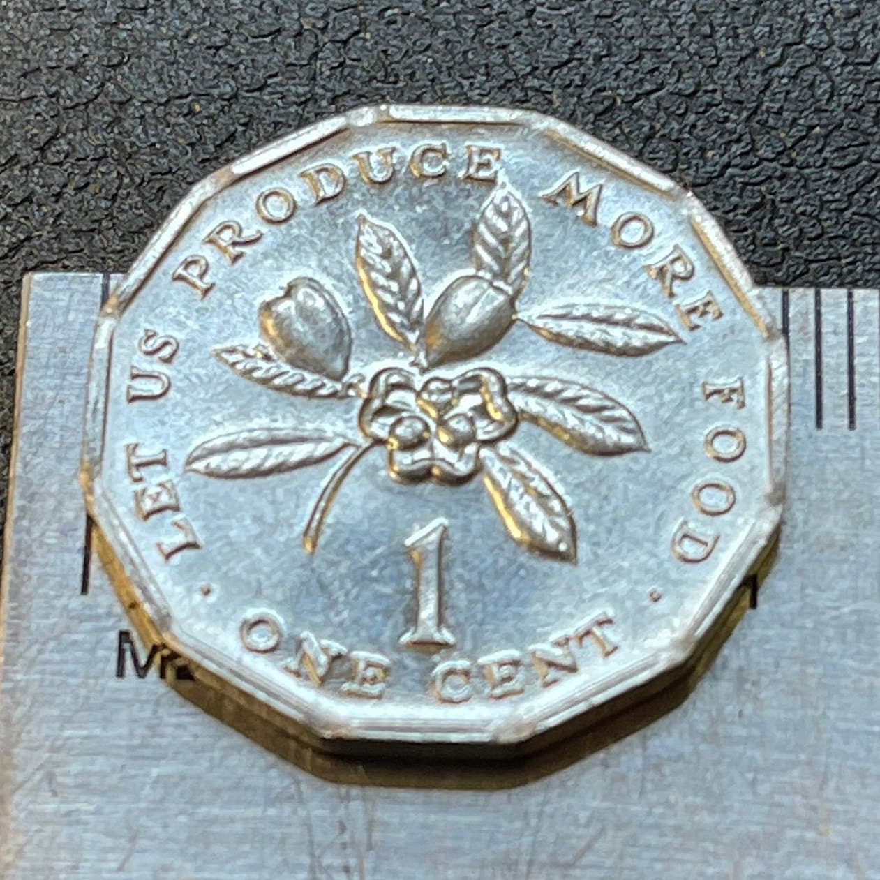 Decagon In Real Life