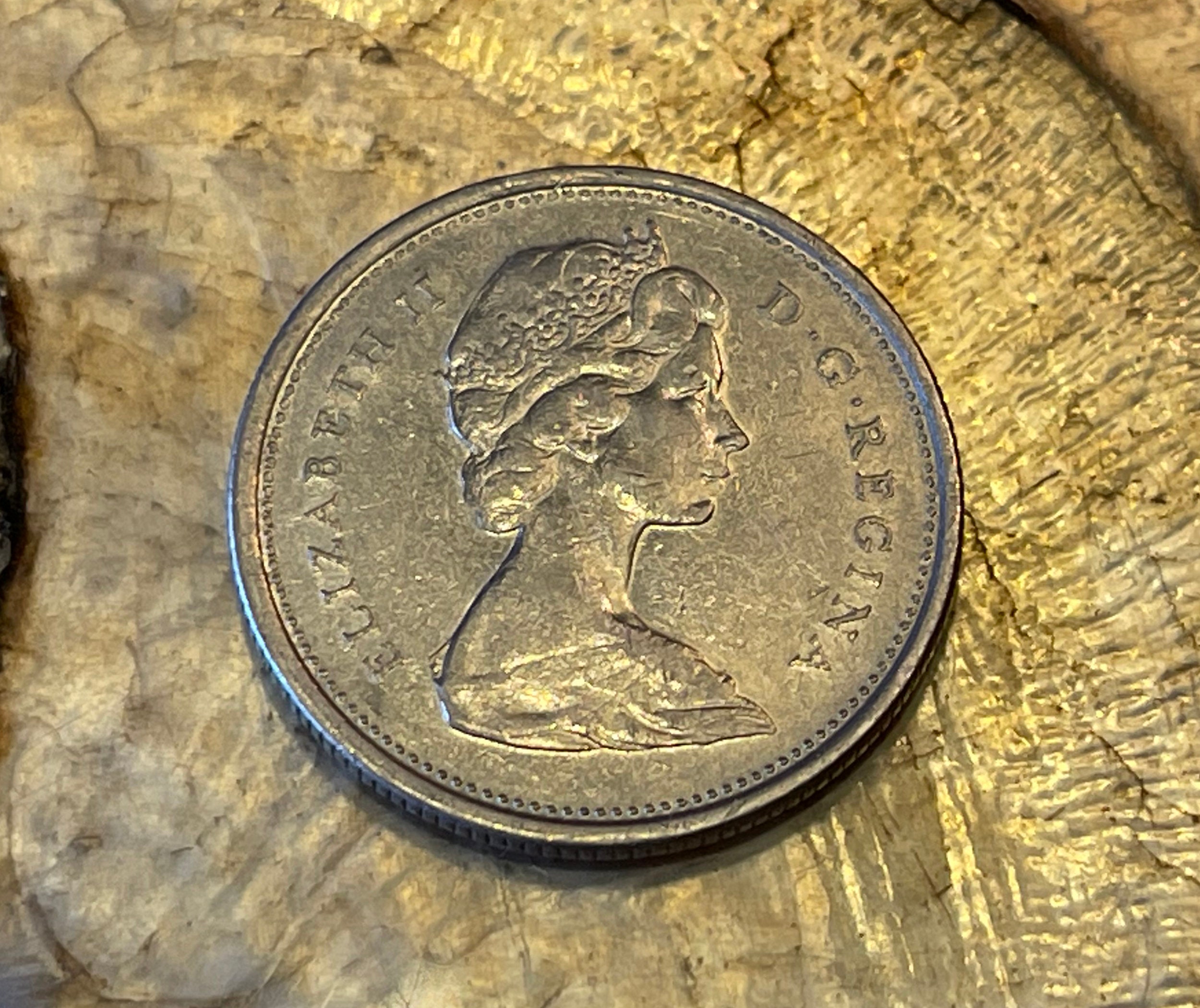 Caribou & Queen Elizabeth Canadian Authentic Coin Money for | Etsy