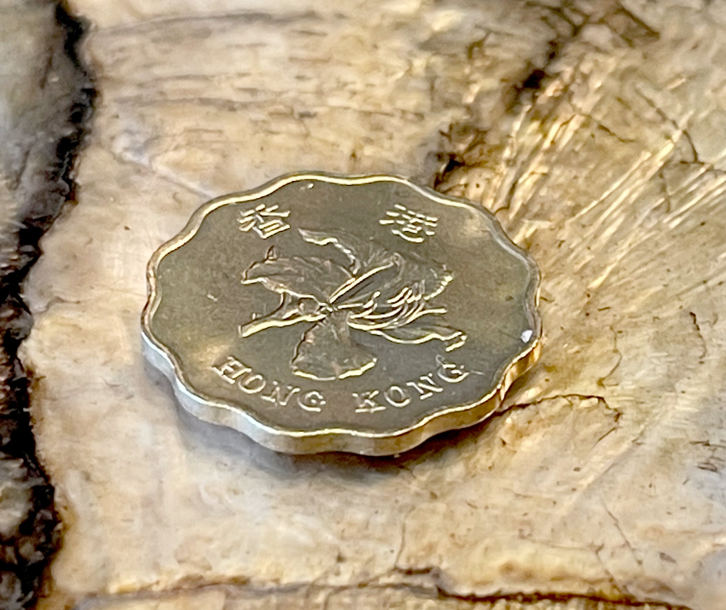 Bauhinia Orchid 20 Cent Hong Kong Authentic Coin Money for - Etsy