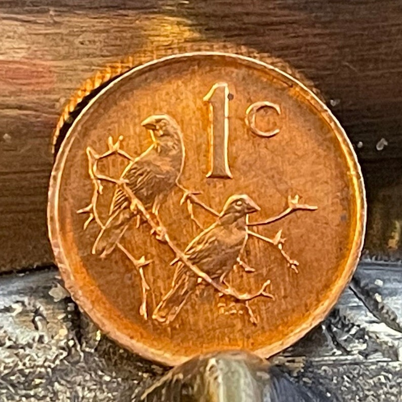 Cape Sparrows 1 Cent South Africa Authentic Coin Money for - Etsy