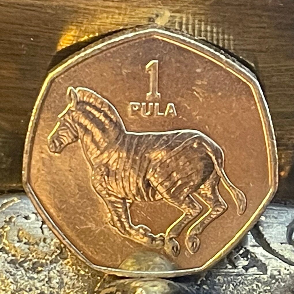 Zebra 1 Pula Botswana Authentic Coin Money for Jewelry and | Etsy