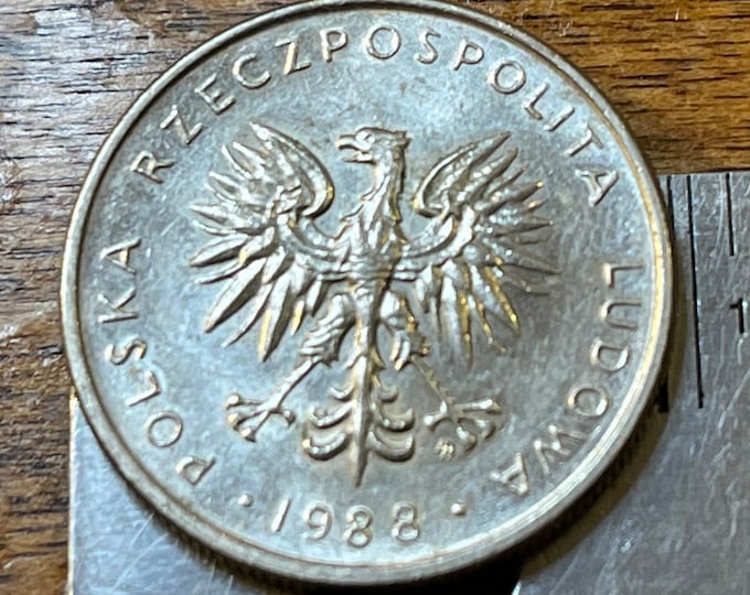 Caribou & Queen Elizabeth Canadian Authentic Coin Money for - Etsy