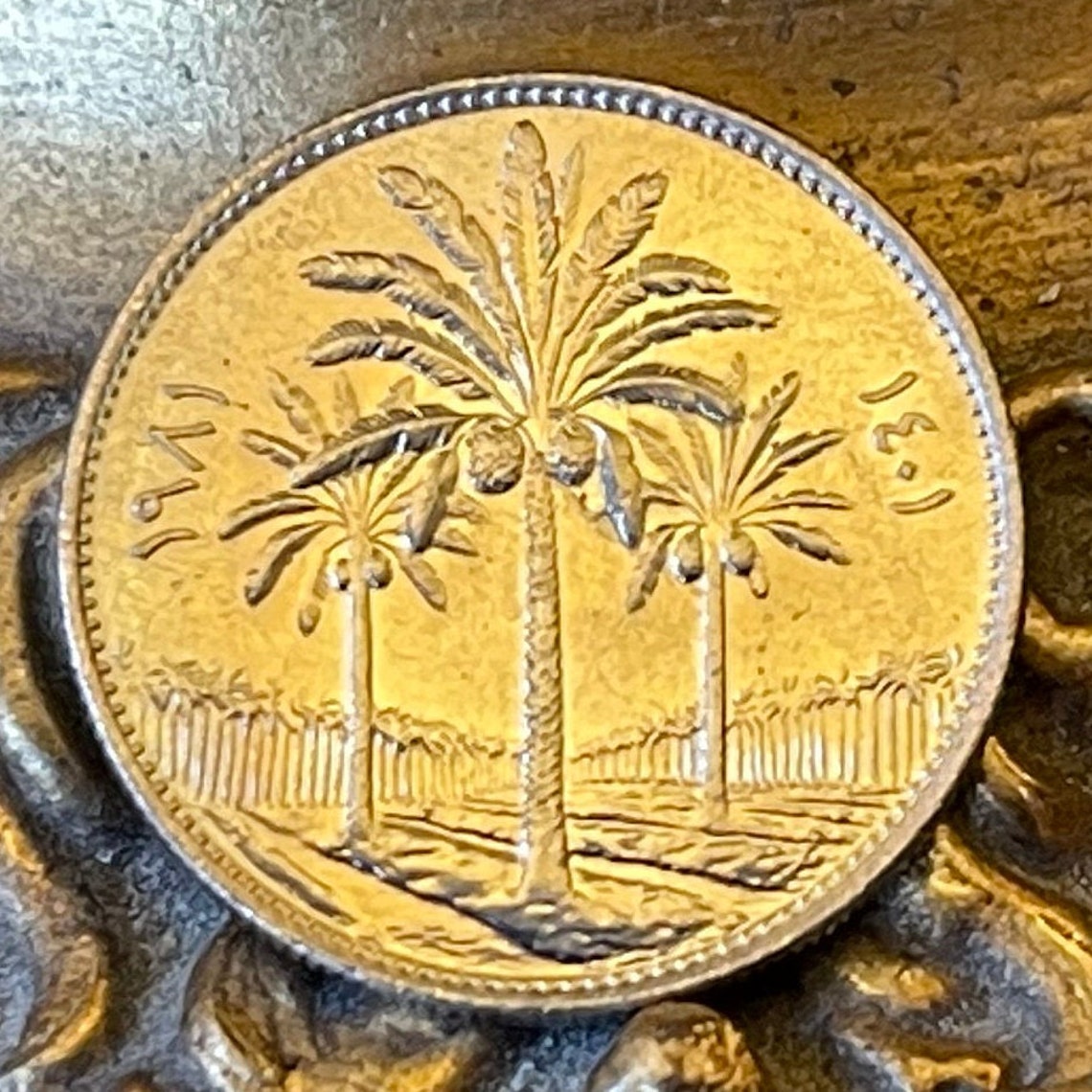 Date Palm Trees 25 Fils Iraq Authentic Coin Money for Jewelry and Craft ...