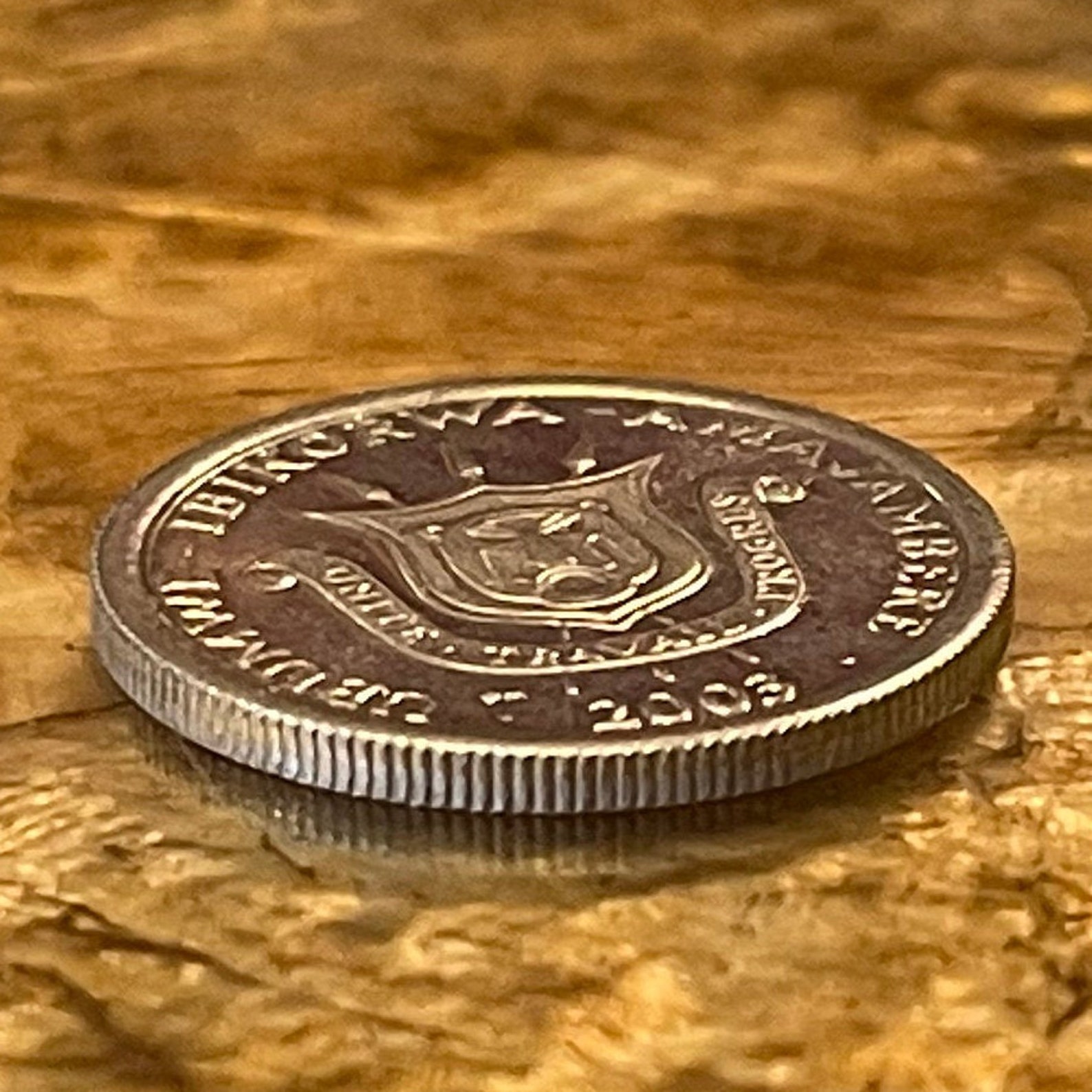 Roaring Lion & Spears 1 Franc Burundi Authentic Coin Money for | Etsy