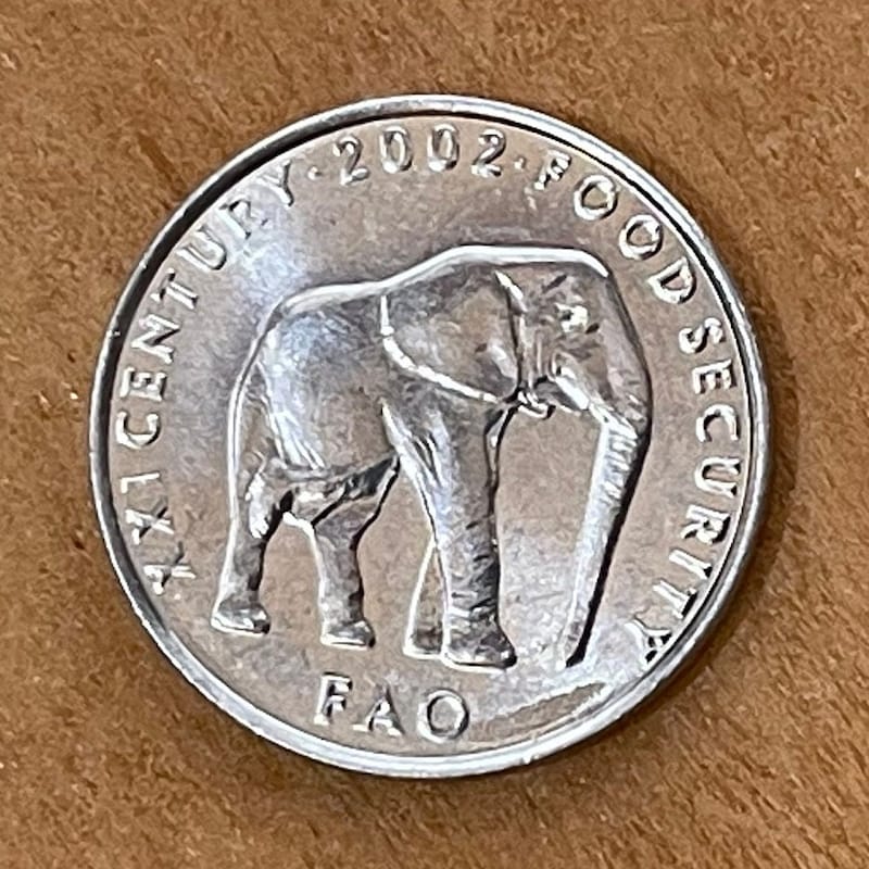 Coin Jewelry Elephant - Etsy