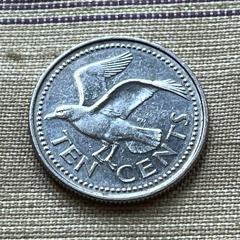 Laughing Gull 10 Cents Barbados Authentic Coin Money for Jewelry and ...