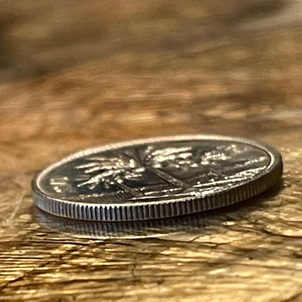 Date Palm Trees 25 Fils Iraq Authentic Coin Money for Jewelry and Craft ...