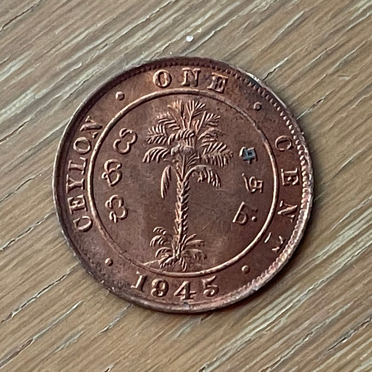 King George VI & Cabbage Palm 1 Cent Ceylon Authentic Coin - Etsy.de