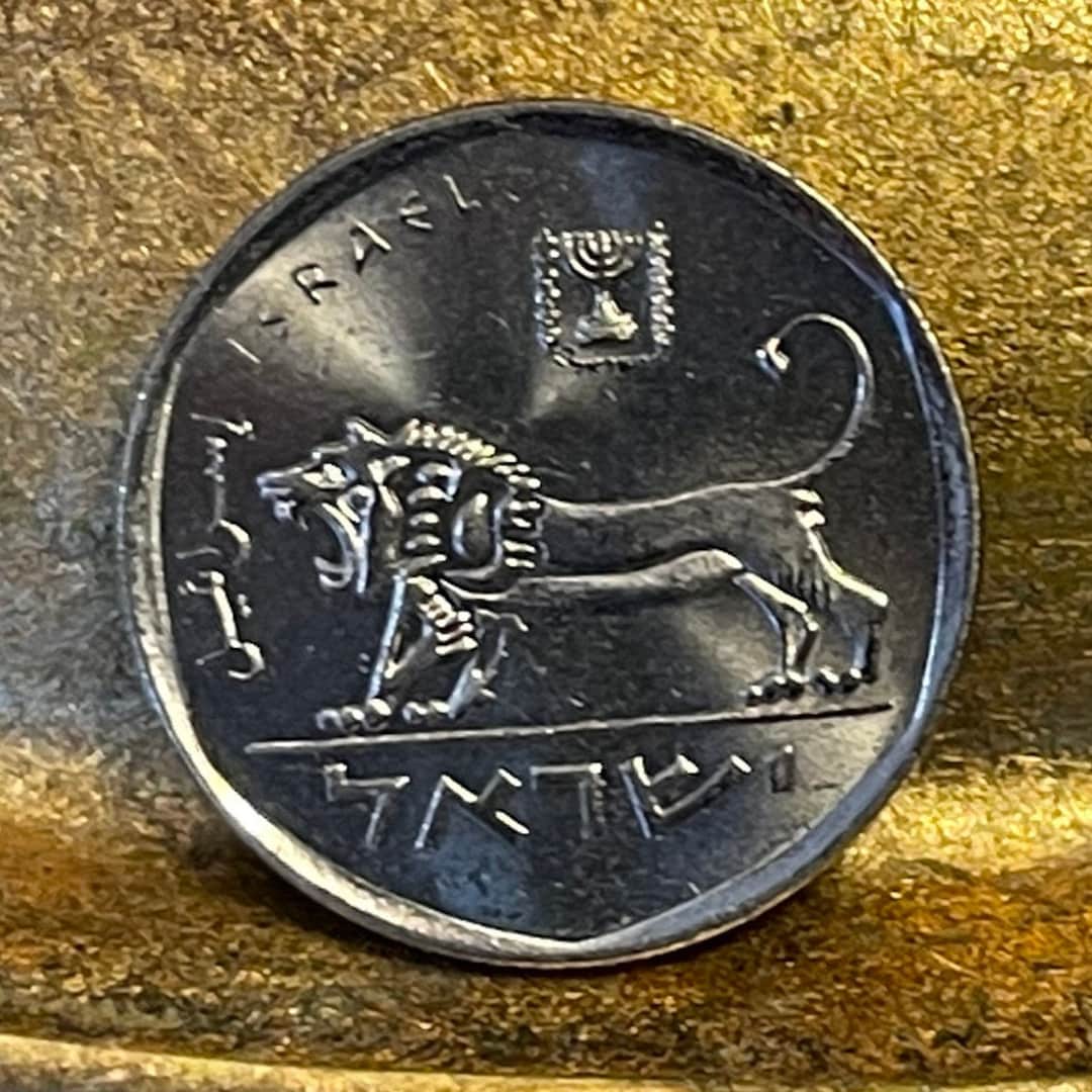 Lion & Menorah Israel 1/2 Sheqel Coin: "seal of Shema" for Jewelry ...