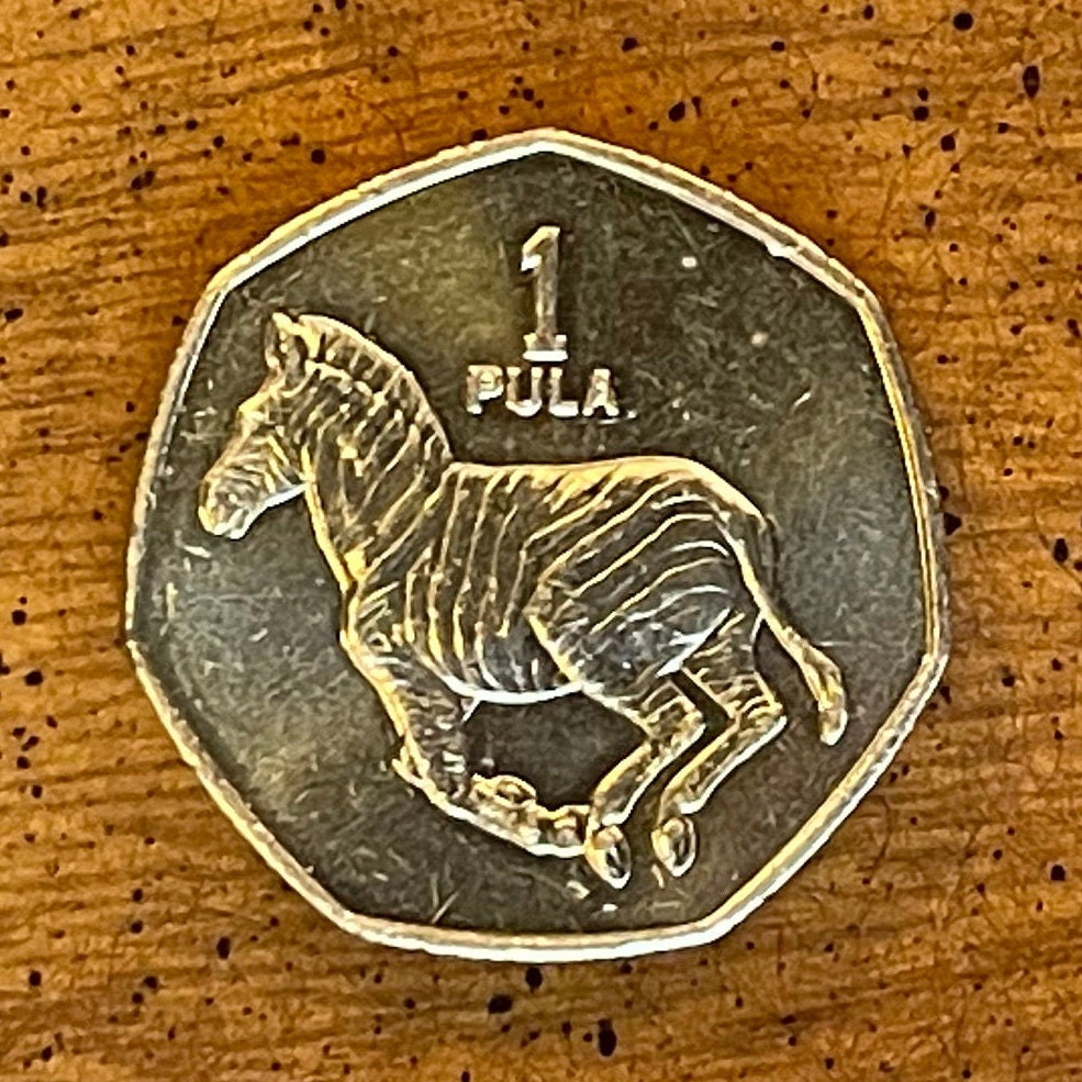 Zebra 1 Pula Botswana Authentic Coin Money for Jewelry and | Etsy
