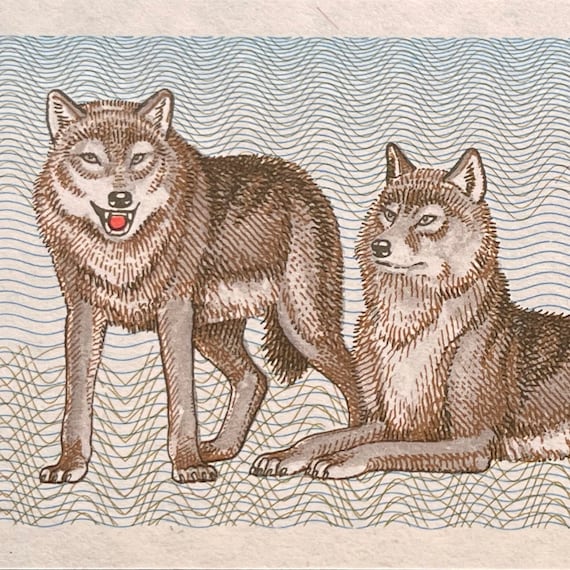 Werewolves Mating Drawing