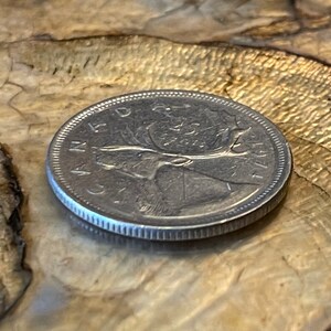 Caribou & Queen Elizabeth Canadian Authentic Coin Money for Jewelry and ...