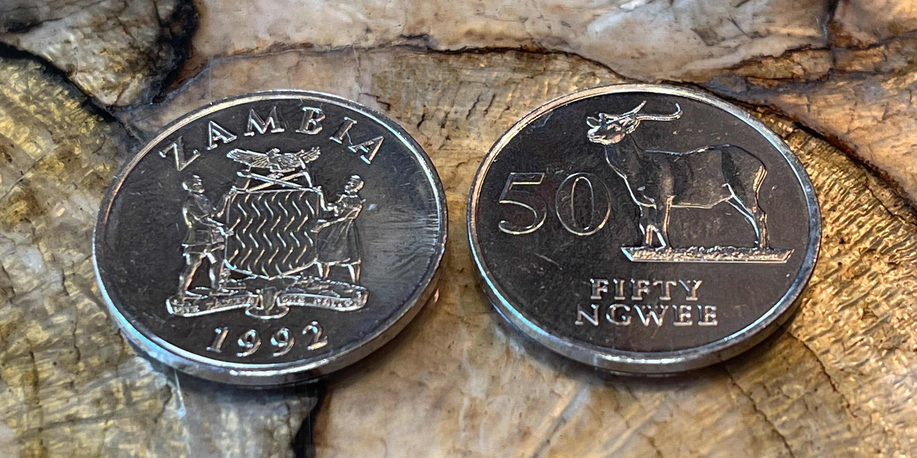 Antelope "kafue Lechwe" 50 Ngwee Zambia Authentic Coin Money for ...