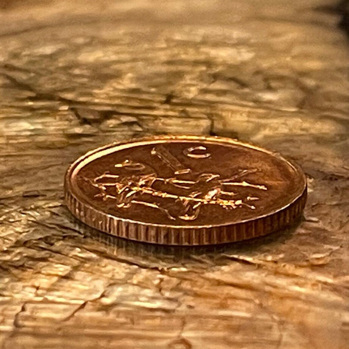 Cape Sparrows 1 Cent South Africa Authentic Coin Money for Jewelry and ...