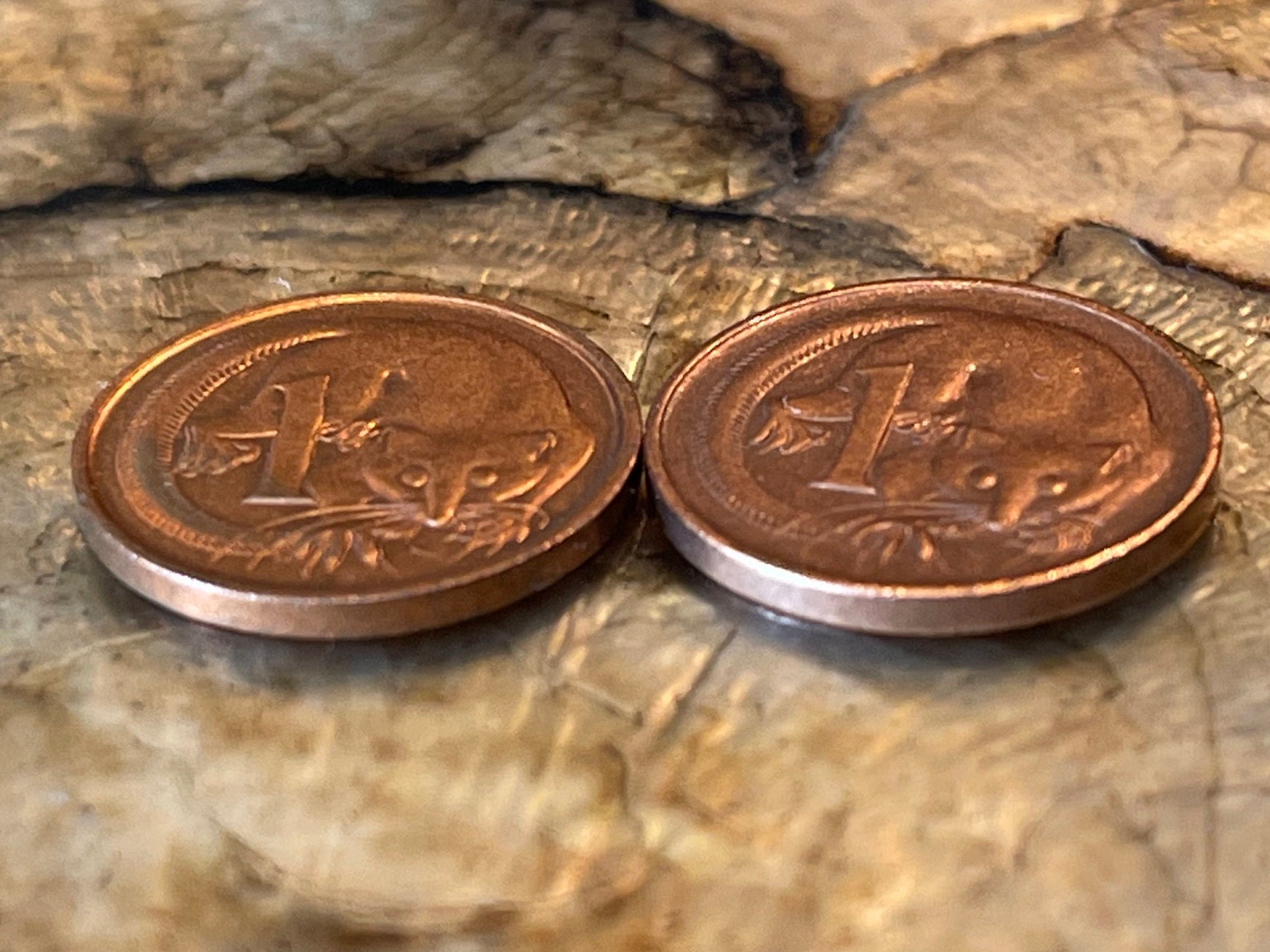 Feathertail Glider 1 Cent Australia Authentic Coin Money for Jewelry ...
