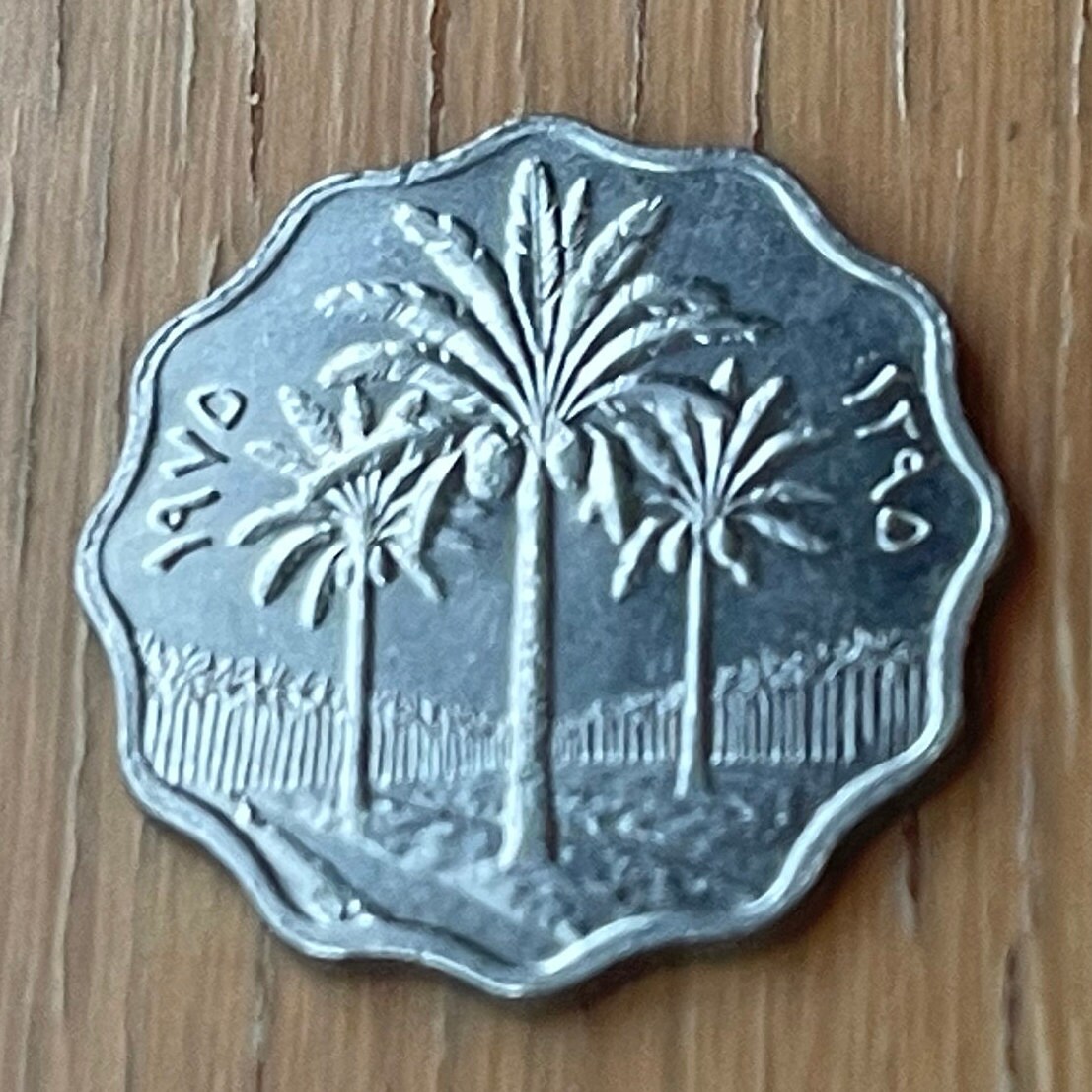Date Palm Trees Iraq Coin: 5 Fils Scalloped Money, Jewelry Craft - Etsy