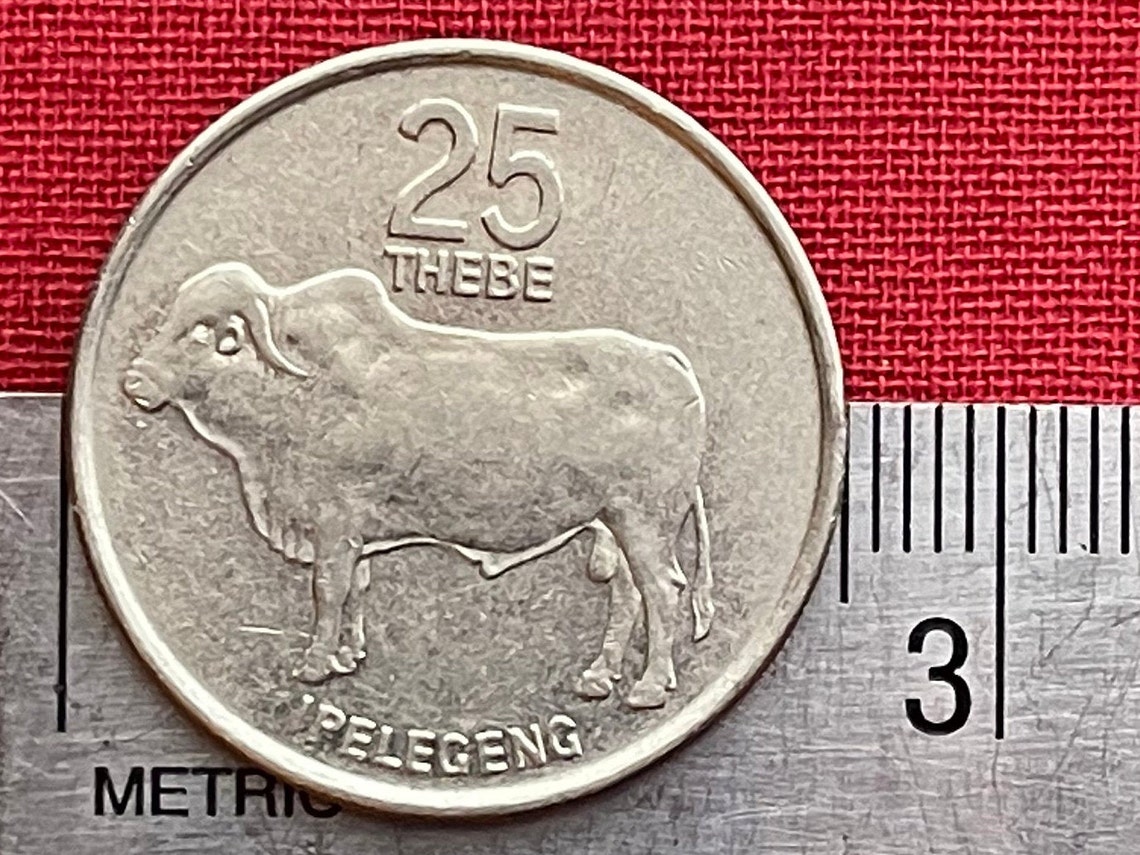 Zebu 25 Thebe Botswana Authentic Coin Money for Jewelry and - Etsy UK