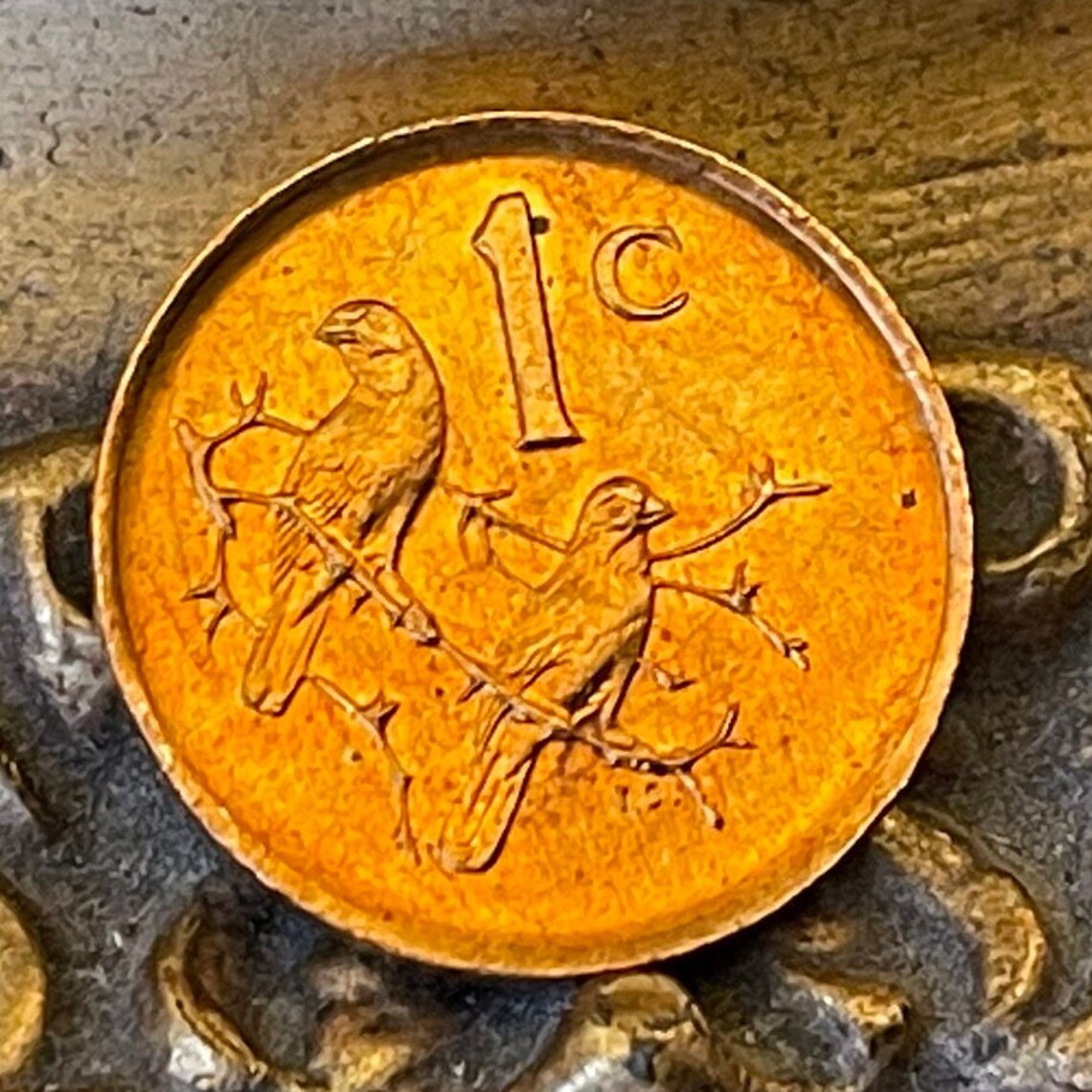 Cape Sparrows 1 Cent South Africa Authentic Coin Money for Jewelry and ...