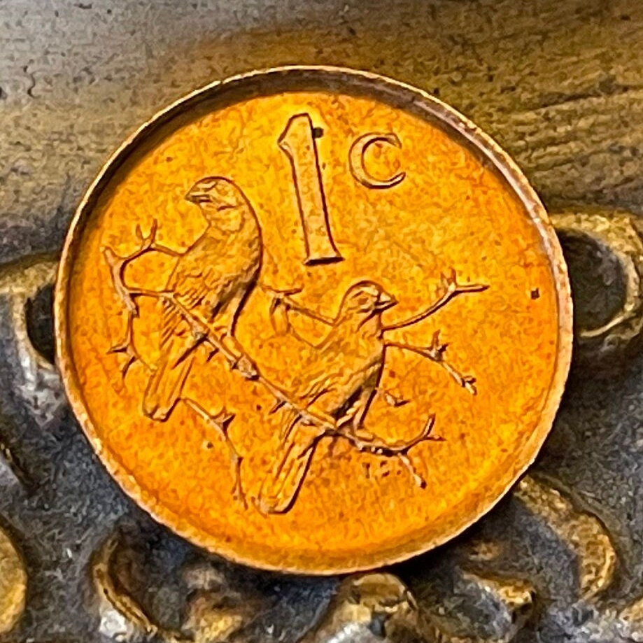 Cape Sparrows 1 Cent South Africa Authentic Coin Money for - Etsy