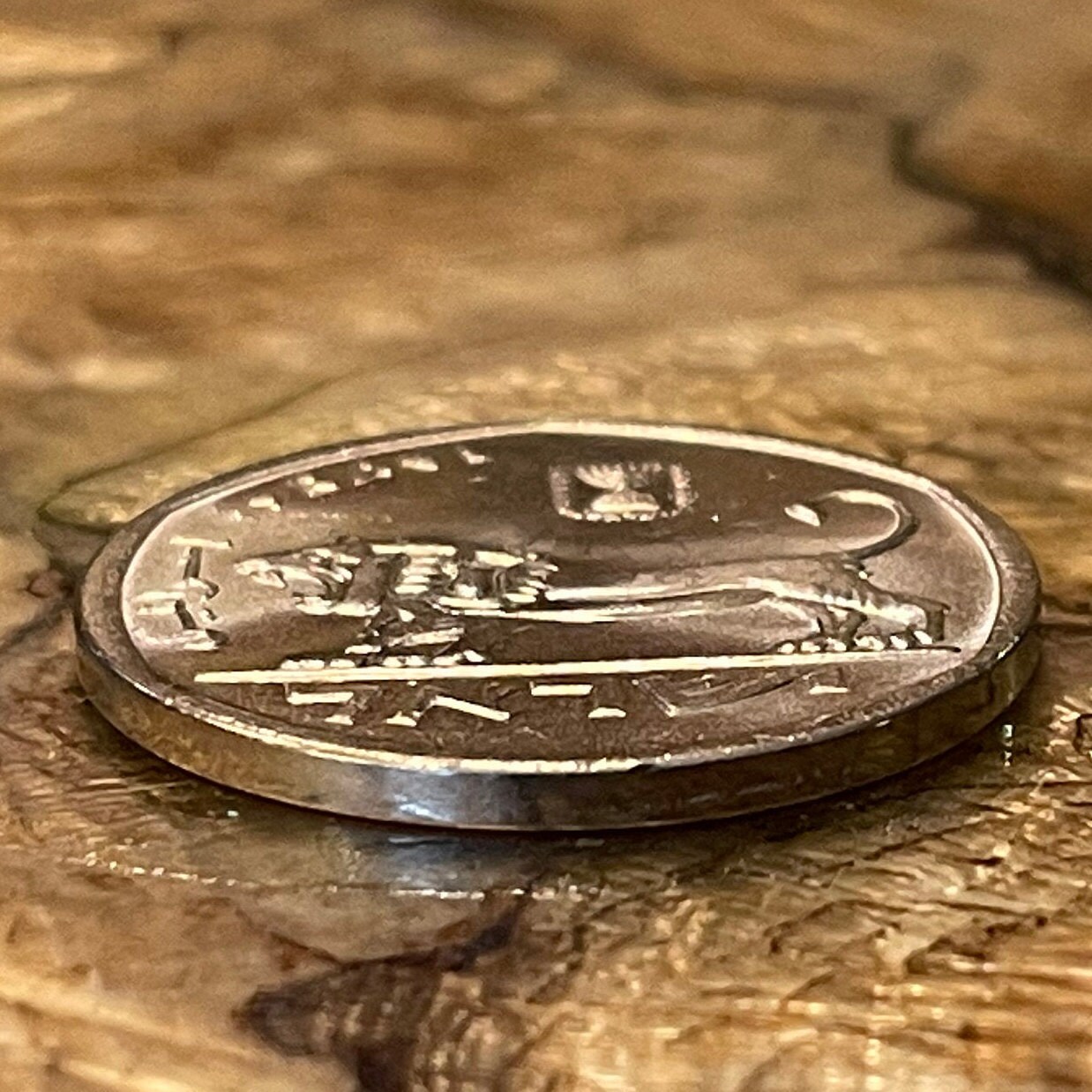 Seal of Shema Lion & Menorah 5 Lirot Israel Authentic Coin - Etsy