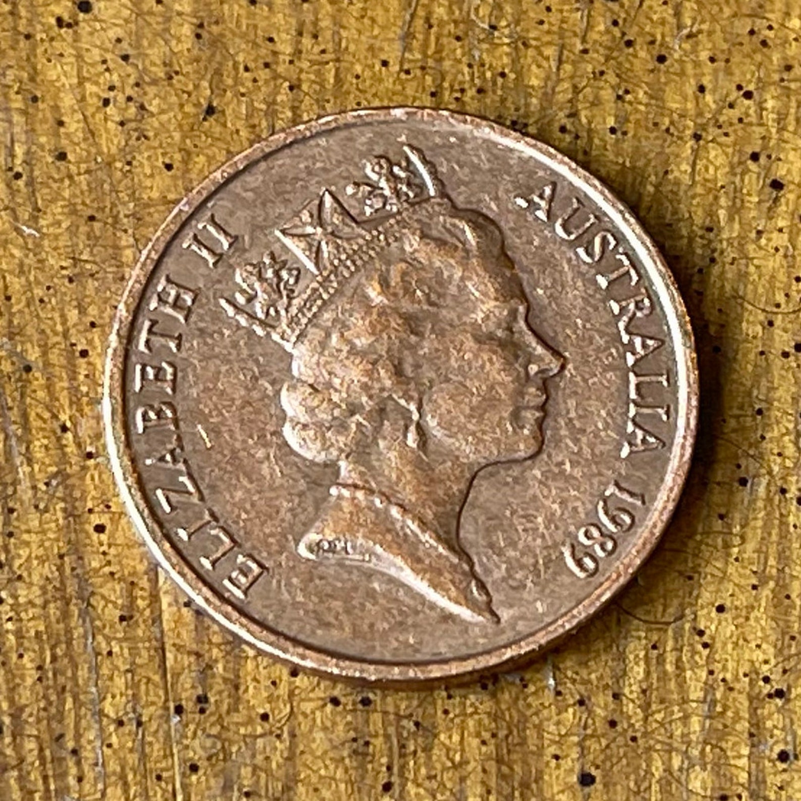Feathertail Glider 1 Cent Australia Authentic Coin Money for - Etsy