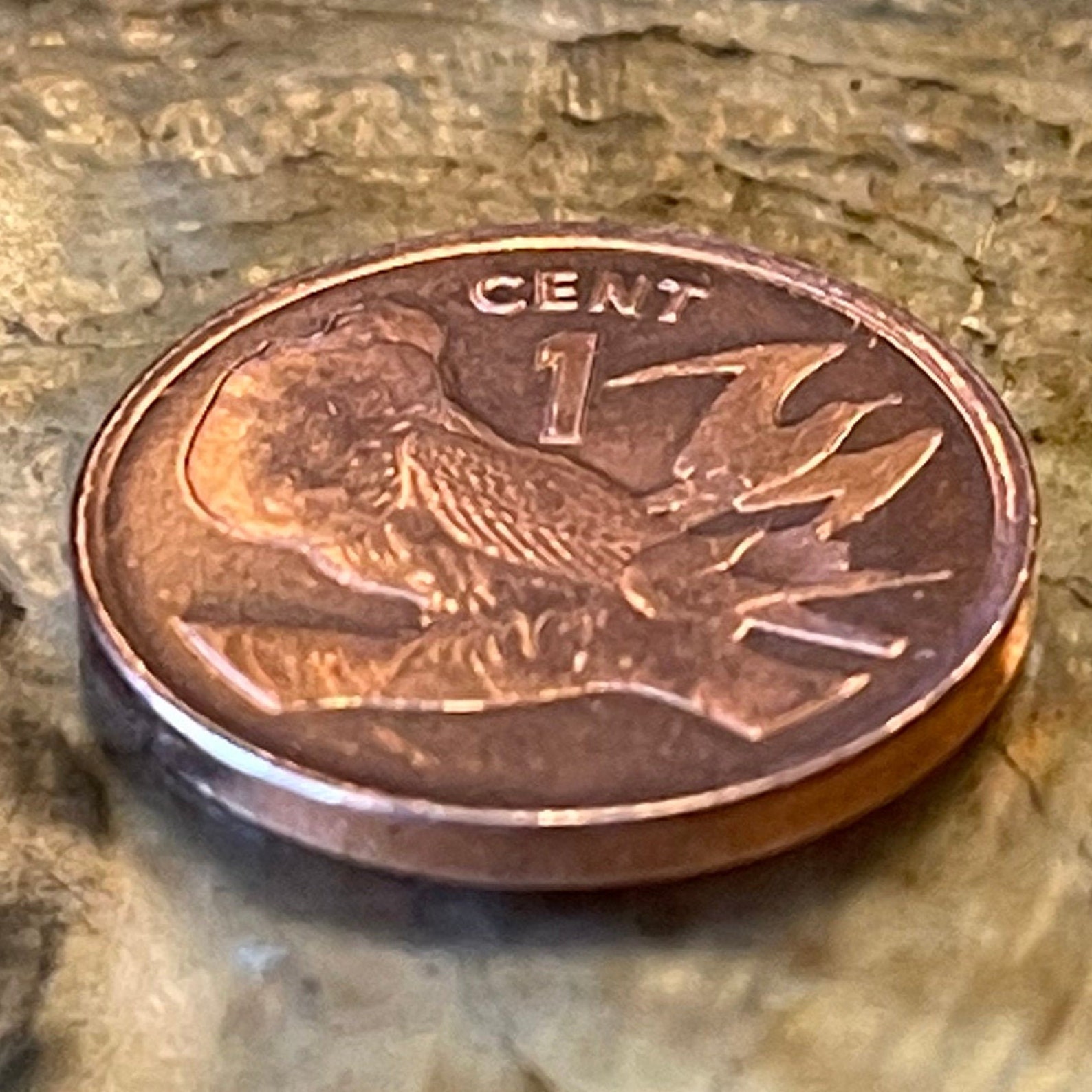 Frigate Bird Kiribati Authentic Coin Money Penny for Jewelry and Craft ...