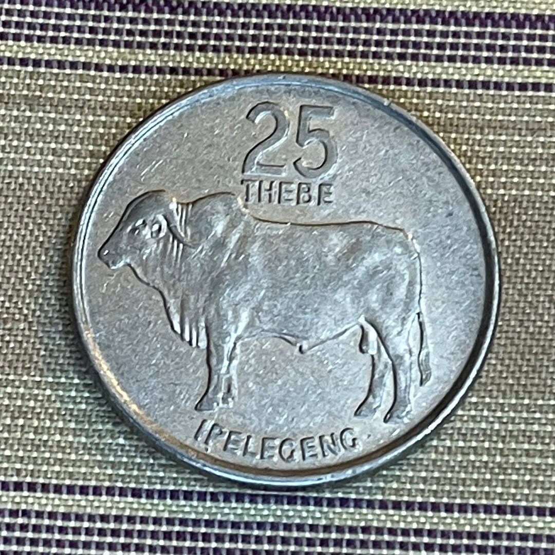 Zebu 25 Thebe Botswana Authentic Coin Money for Jewelry and Craft ...