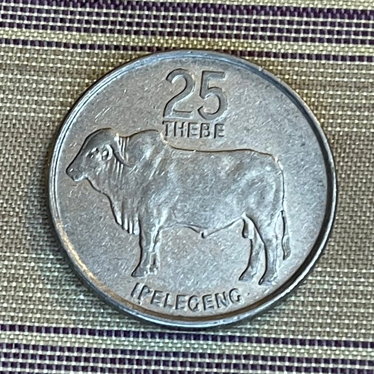 Zebu 25 Thebe Botswana Authentic Coin Money for Jewelry and - Etsy UK