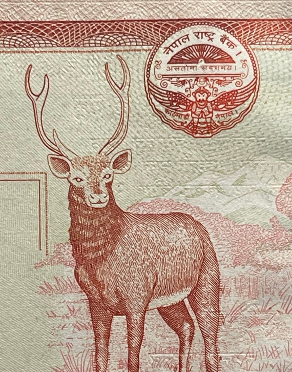 Sambar Deer Flying Garuda Krishna Mandir Temple Mt Everest | Etsy