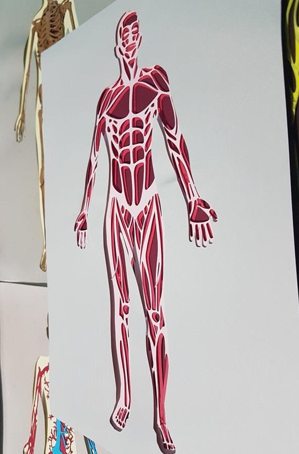 Maniacs- Learn Through Play Human Body Book- Muscular Svg Files - Etsy