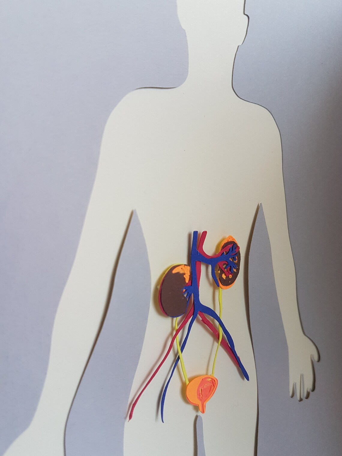 Maniacs- Learn Through Play Human Body Book- Urinary System Svg Files ...