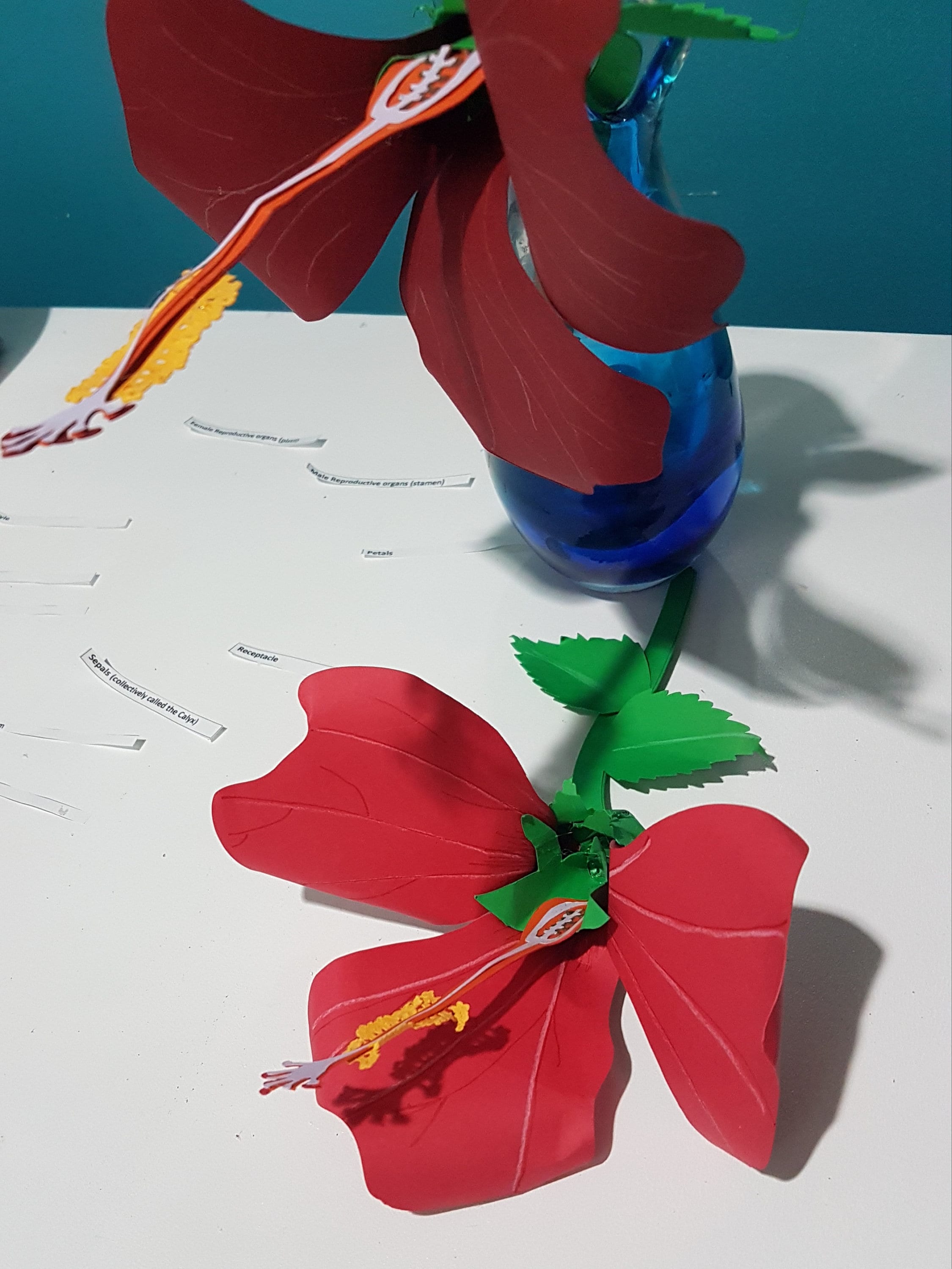 3d Flower Model Science Project