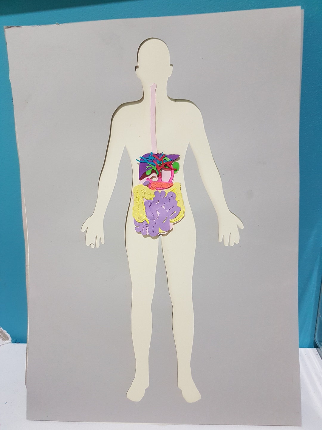 Maniacs- Learn Through Play Human Body 3D Book-digestive System Svg ...