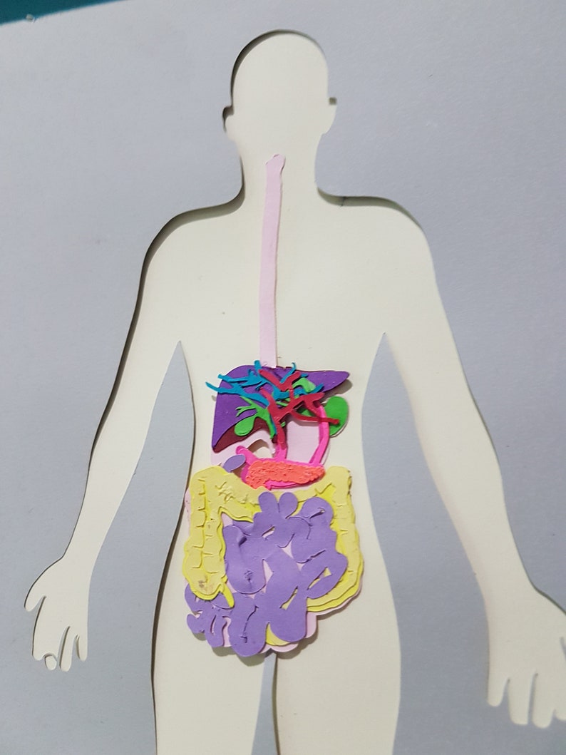Maniacs- Learn Through Play Human Body 3D Book-digestive System Svg ...