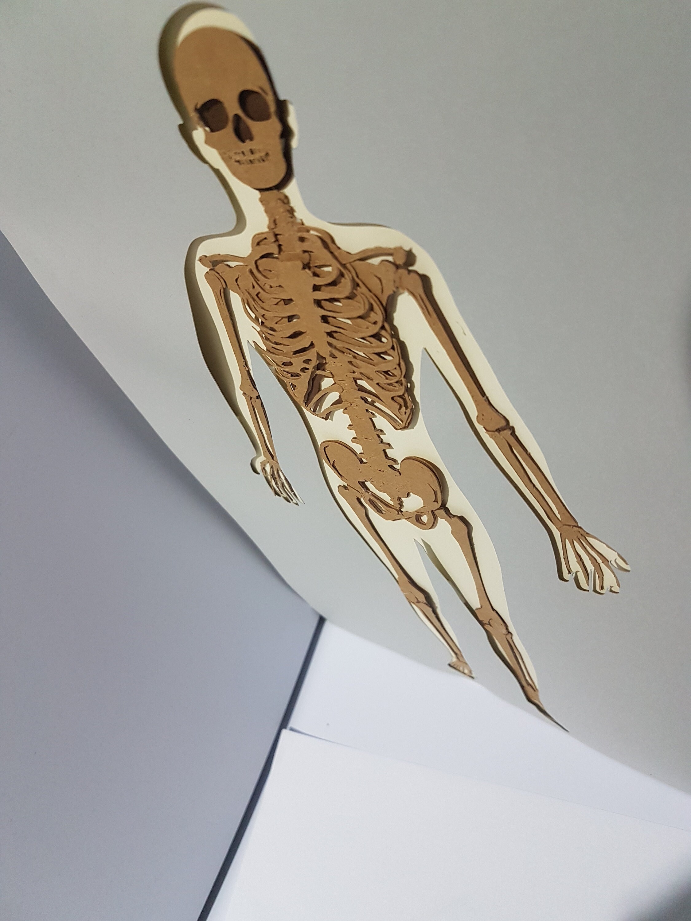 Maniacs- Learn Through Play Human Body 3D Book-1 Skeleton System Svg ...