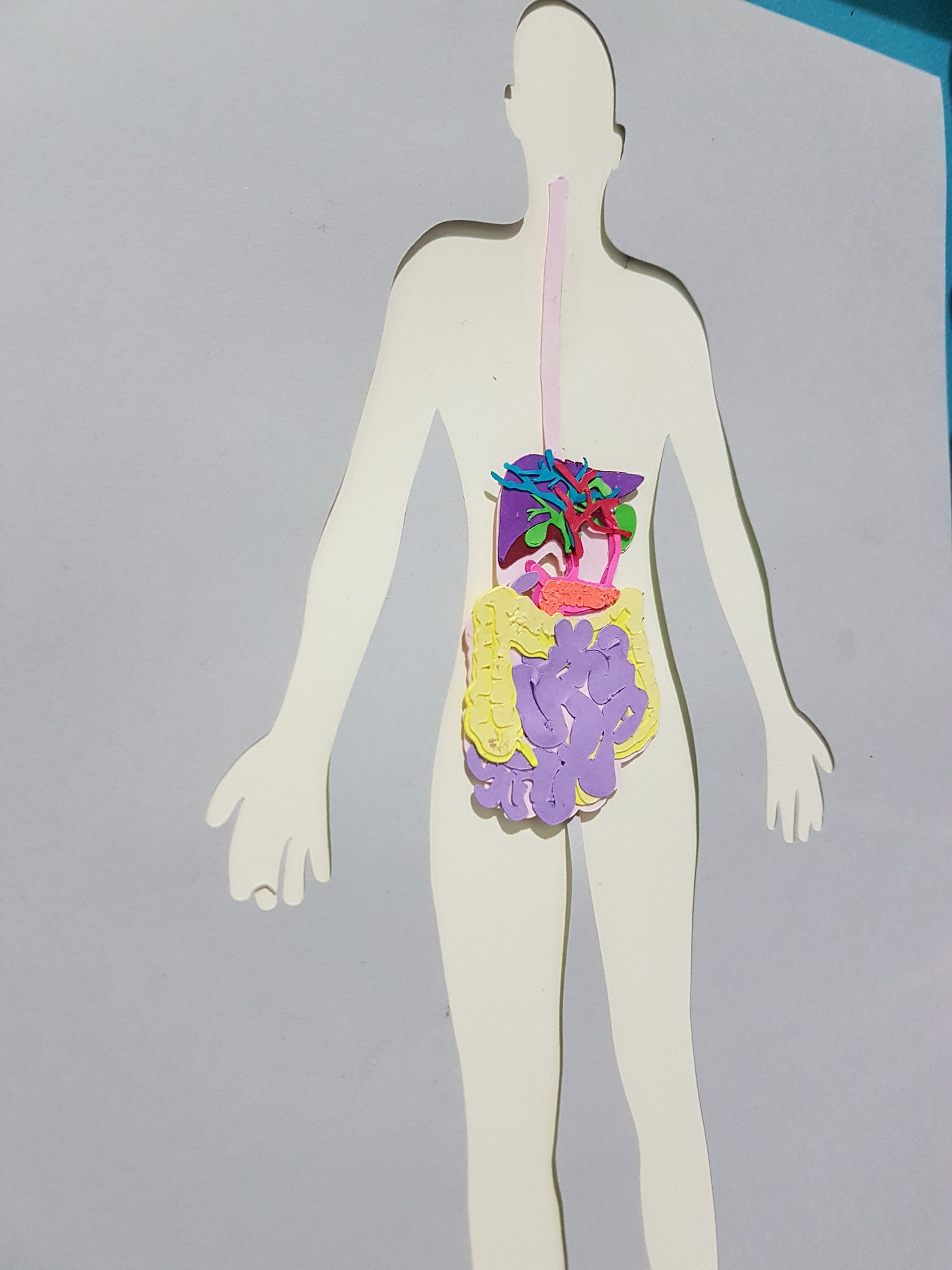 Maniacs- Learn Through Play Human Body 3D Book-digestive System Svg ...