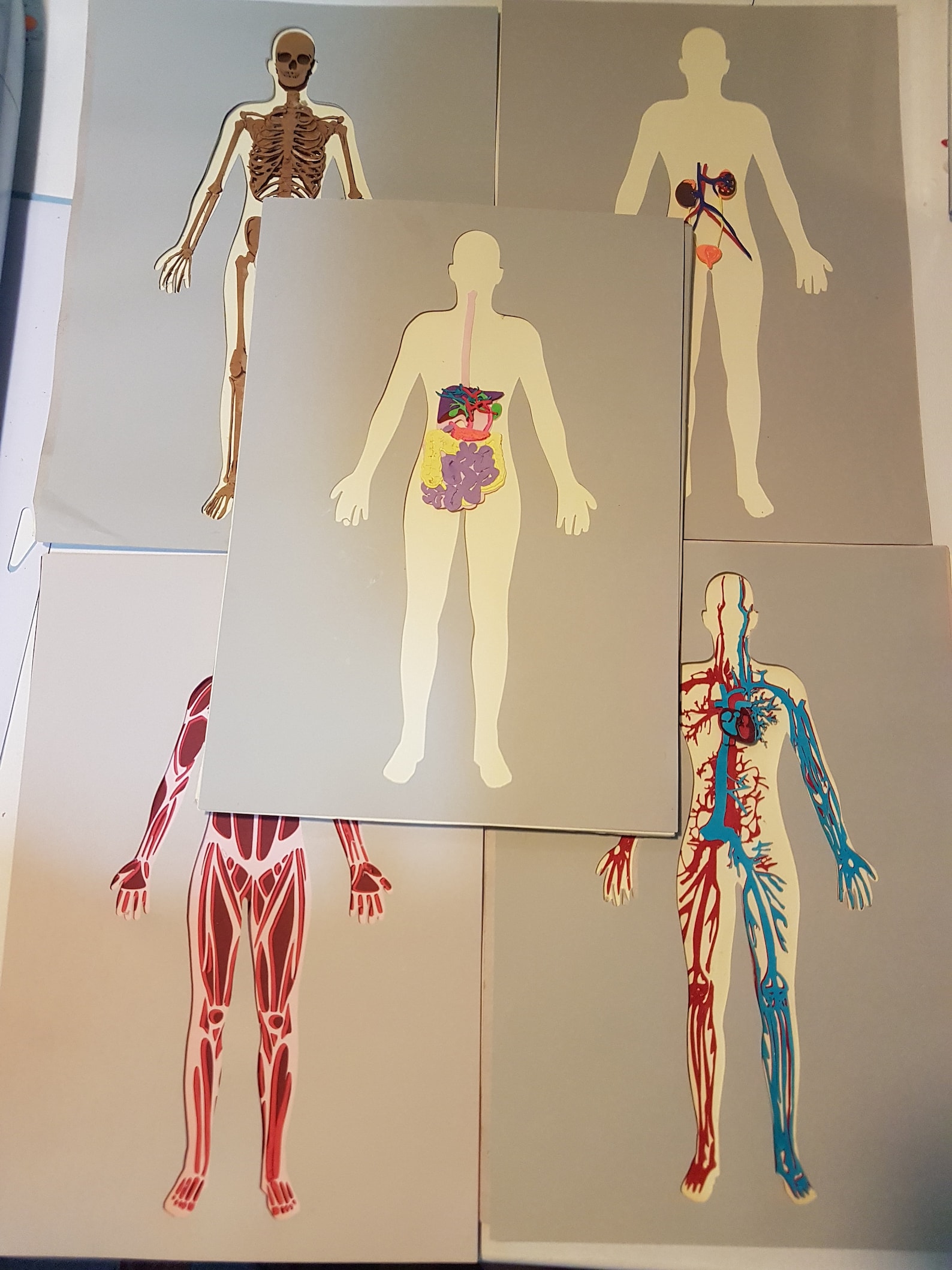 Maniacs- Learn Through Play Human Body 3D Book-digestive System Svg ...