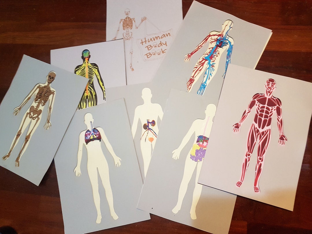 Maniacs- Learn Through Play Human Body Book- Bundle Deal-all Systems - Etsy