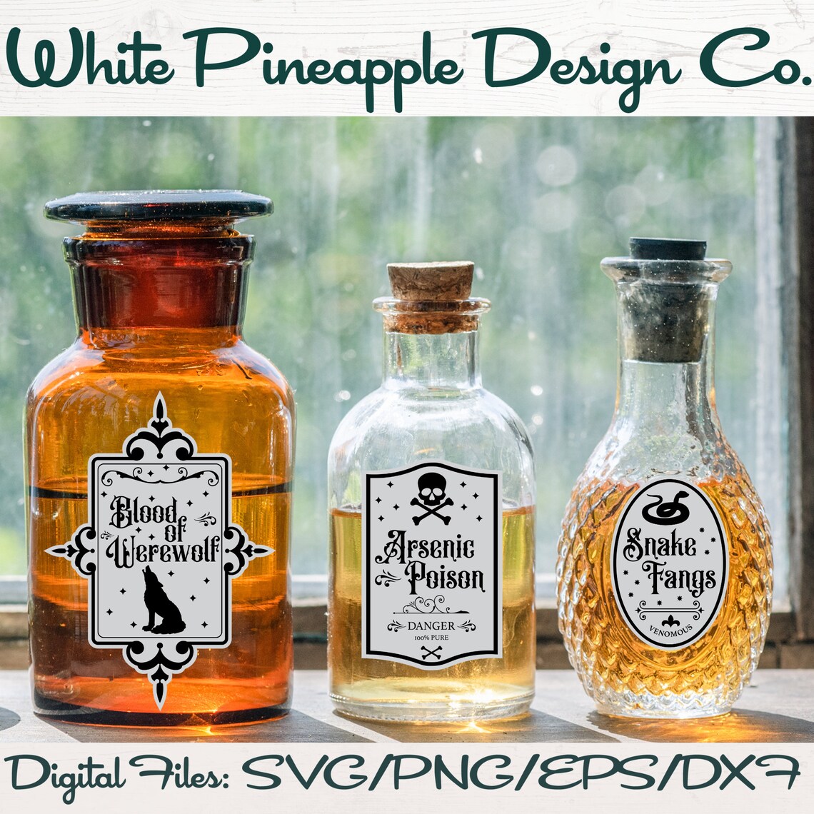 Halloween Potion Bottle Labels SVG, Potion Bottles SVG, Potion Labels ...