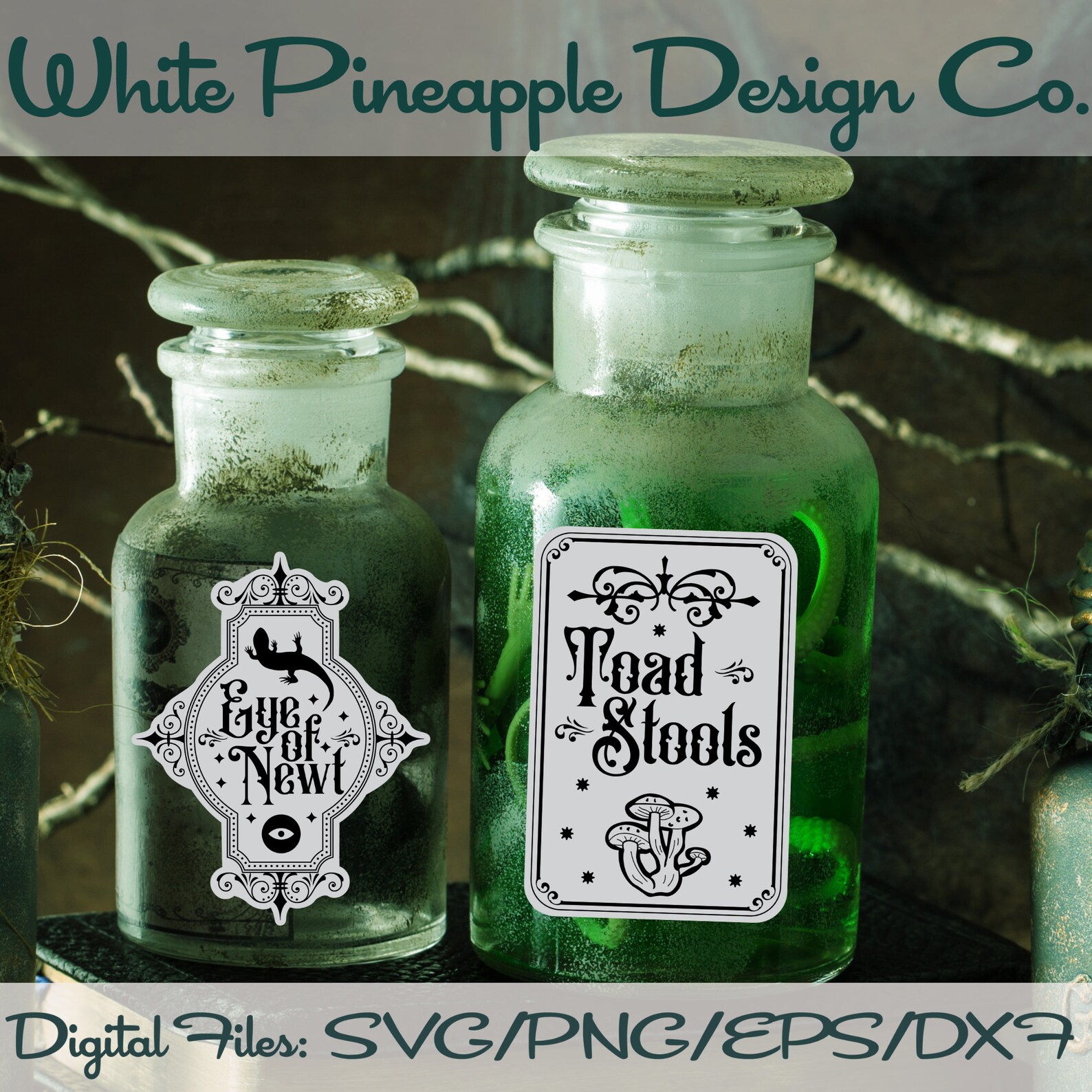 Halloween Potion Bottle Labels SVG, Potion Bottles SVG, Potion Labels ...