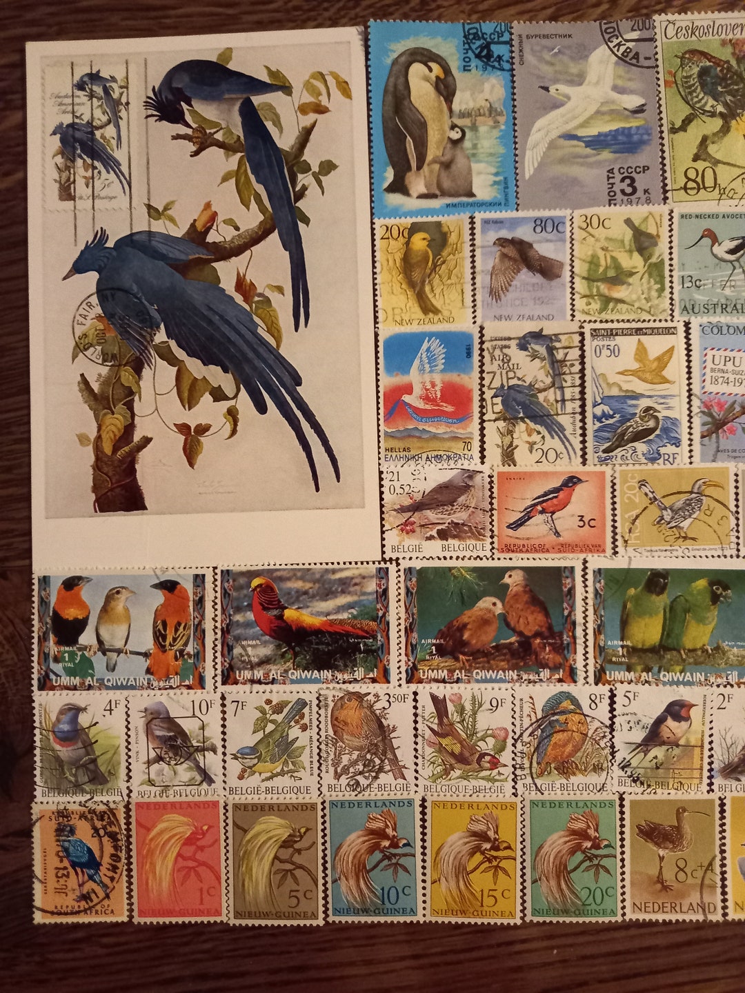 Bird Stamps Lot No. 83 - Etsy