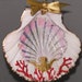 Scallop Shell Ornament With Scallop Shell - Etsy
